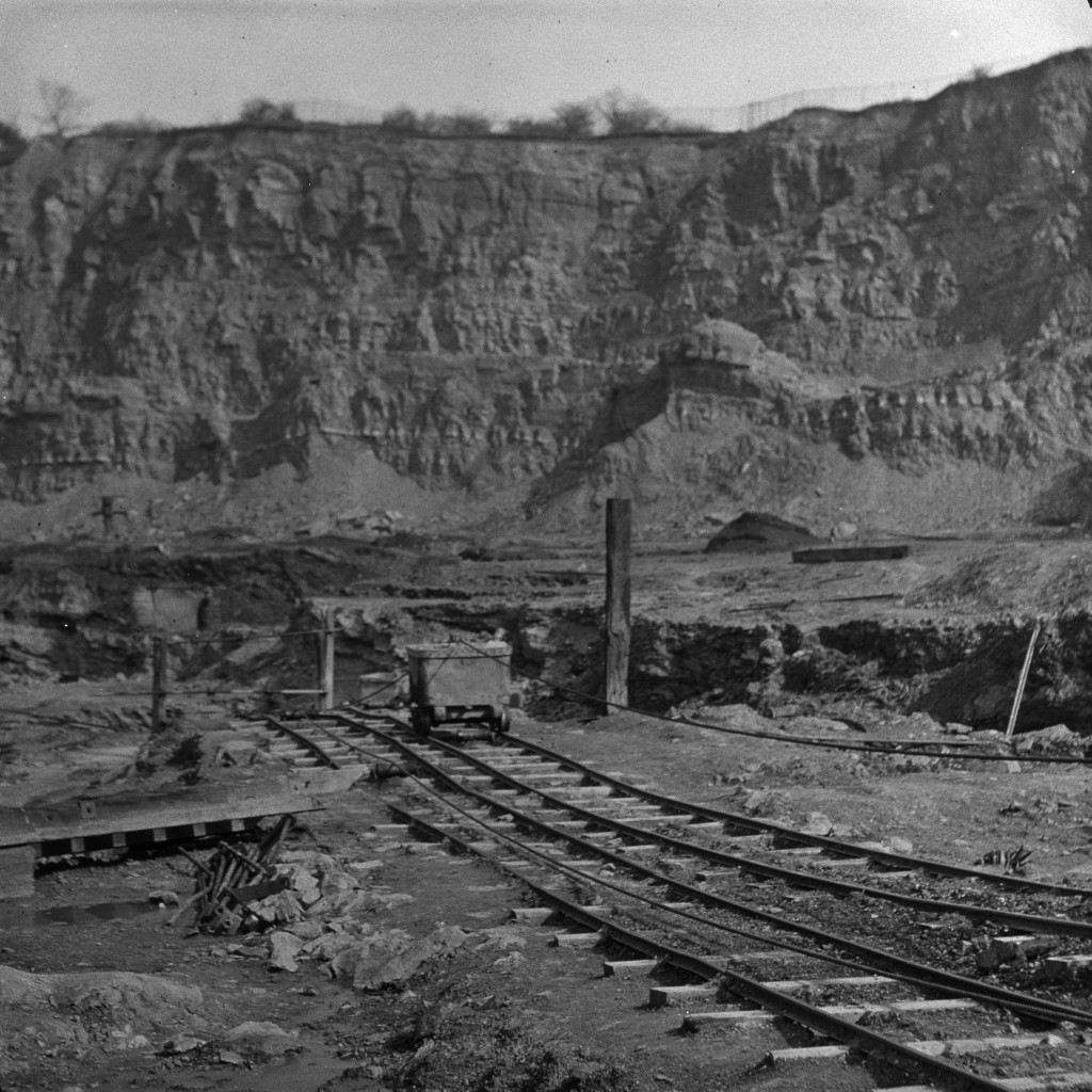 Saltwells National Nature Reserve – BCGS